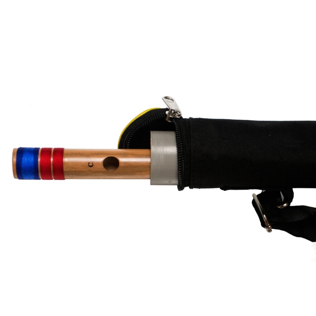 C Sharp Scale Archives - Swarasourav